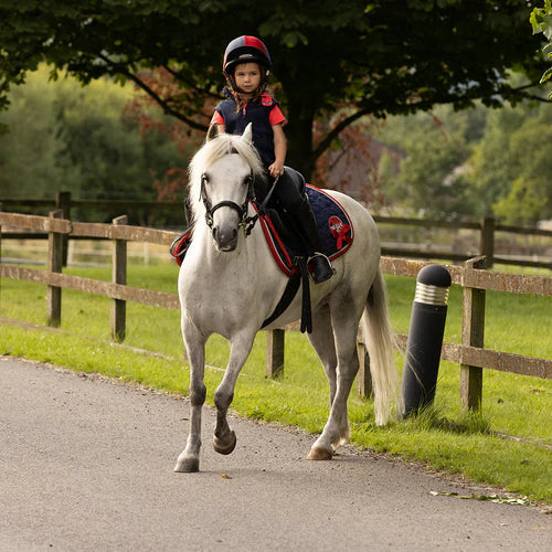 Versatile Apex Saddle – Long-Term Adaptive Riding System – CriTERION